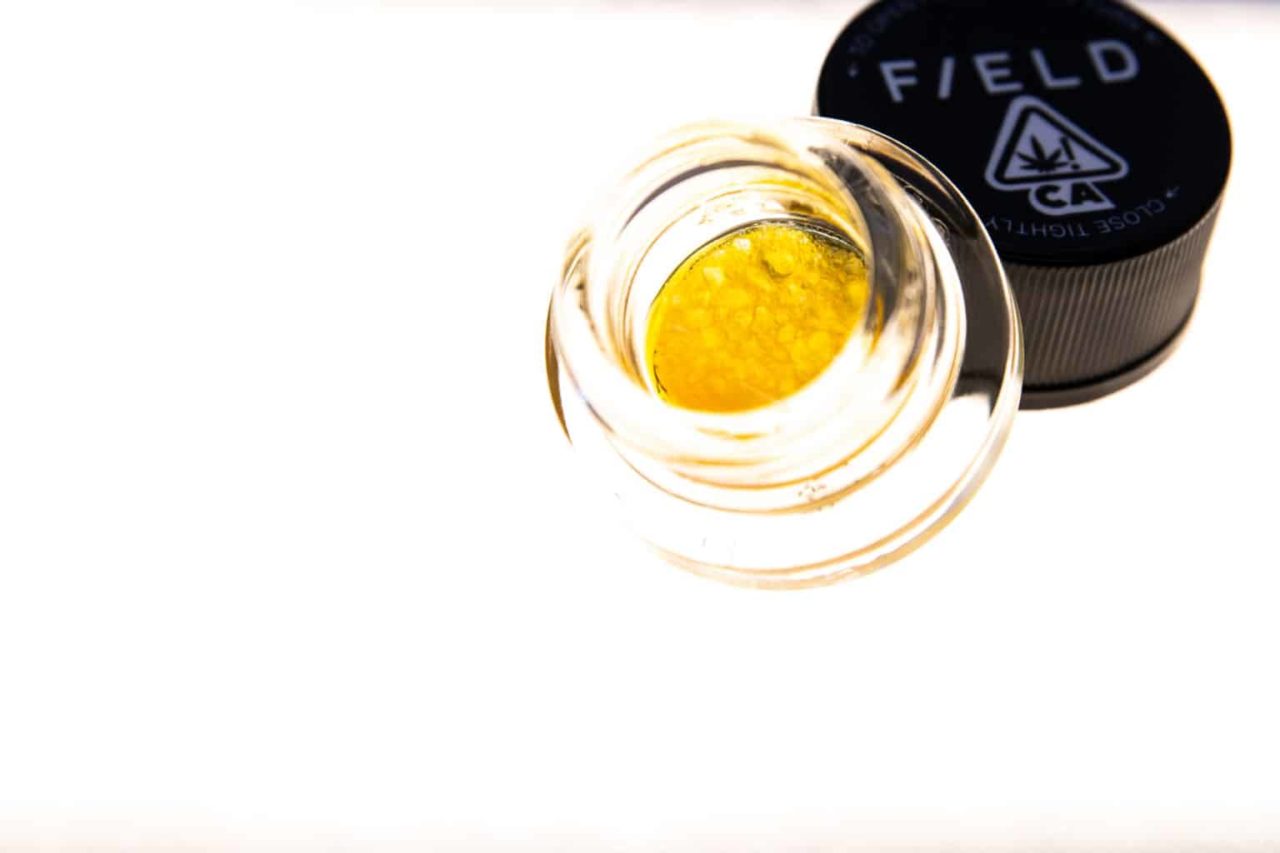 The Definitive Cannabis Concentrates Guide
